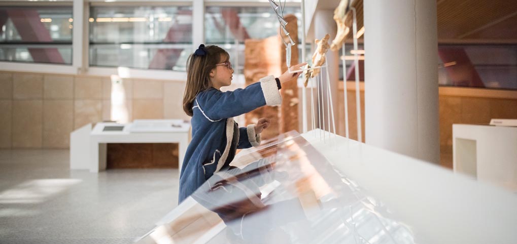 Museo de la Evolución Humana